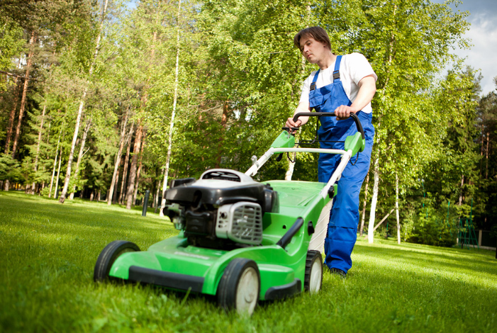 An Overview of Lawn Mowers and Lawn Tractors – Welcome Your Website